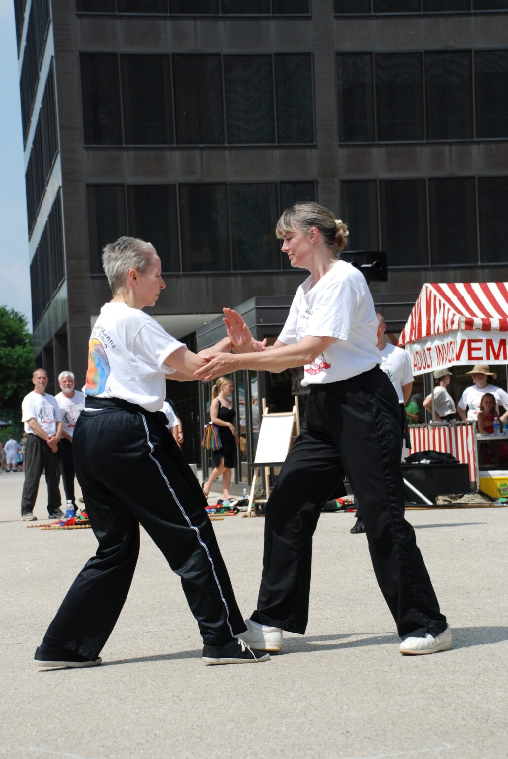 Tai Chi Jeung – Master Lee's School of Tai Chi Praying Mantis Kung Fu ...